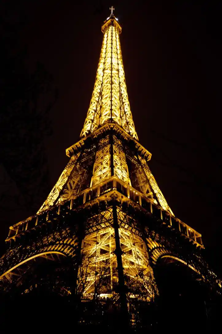 Entry Ticket: Priority Access to Eiffel Tower, Dinner, Seine Cruise